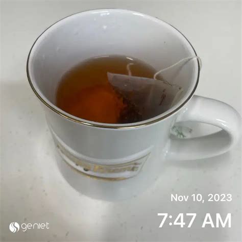 아침 따뜻한 차 한잔 지니어트 커뮤니티