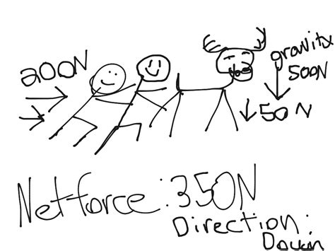Net Force Diagram
