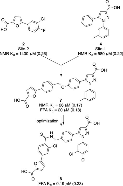 Discovery Of A Potent Inhibitor Of Replication Protein A Protein