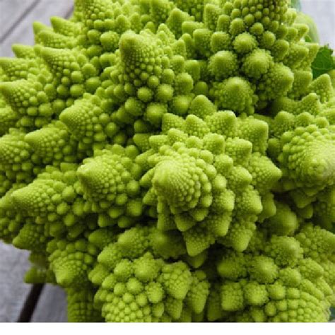 Pdf Game Dynamics Best Practices In Procedural And Dynamic Game