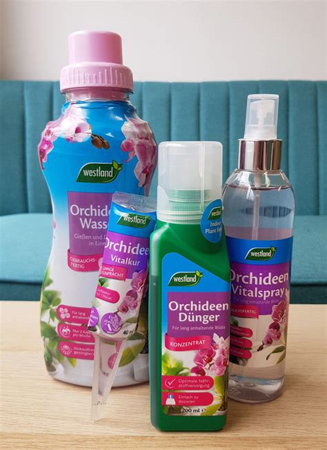 💖 Orhidei Bg Орхидеи редки видове торове почви