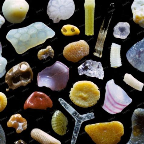 Microscopic Sand 23 Pattern Crew