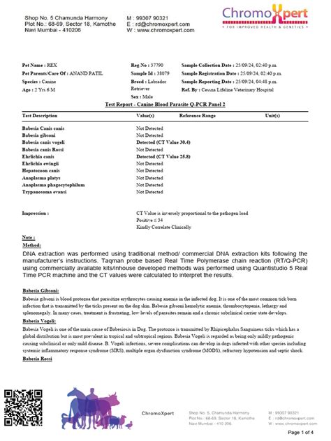 rex test pdf epidemiology immunology