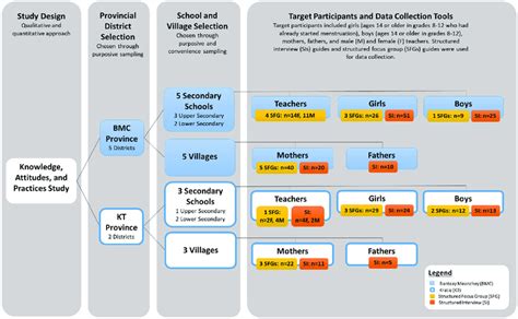 Study Design Overview Diagram Describing The Study Design Process And