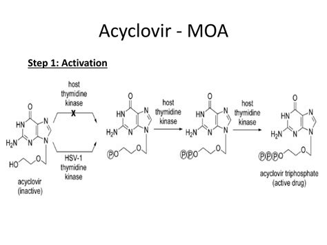 Ppt Antiviral Drugs Powerpoint Presentation Free Download Id9100357