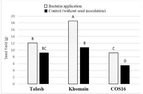 Effect Of Rhizobium Bacteria Treatments On Seed Yield Download