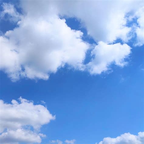 박아무개 게임회사 게임개발자 로켓펀치