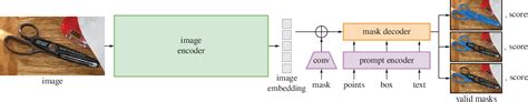 PDF Segment Anything Semantic Scholar