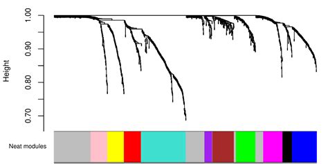 Why Wgcna Modules Dont Always Agree With The Dendrogram Insights
