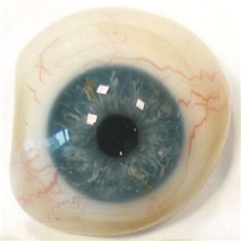 Presentation Attack Detection For Iris Recognition An Assessment Of The State Of The Art Arxiv