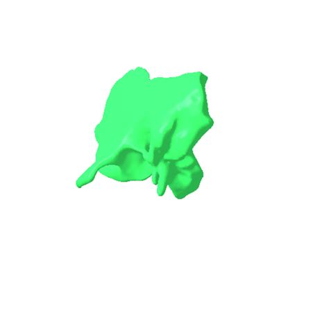 ⬅️ Left Temporal Bone Segmented・ 3d File For 3d Printing・cults