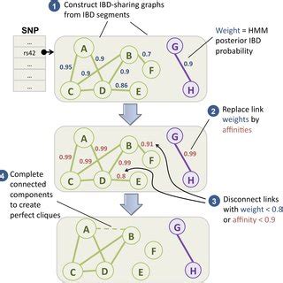 Regions Where Excess IBD Is Detected By Three IBD Methods Among The Download Scientific Diagram