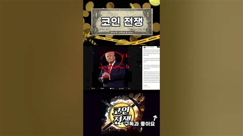 시바이누 전망 반등 시작 지금부터 최소 300 상승 불장 랠리 바로 시작합니다 Youtube