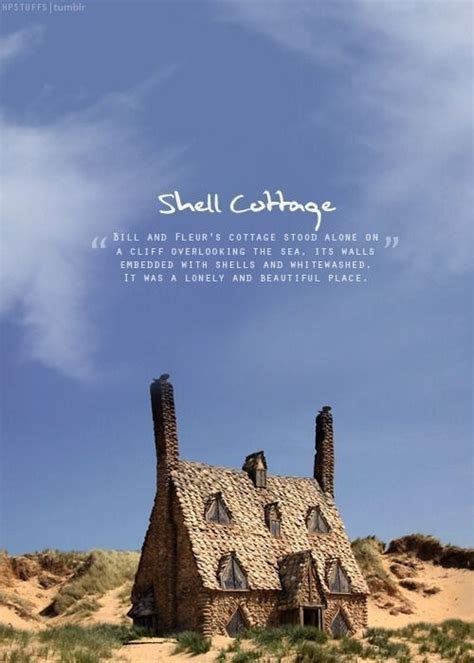 Harry Potter Stuff Photo