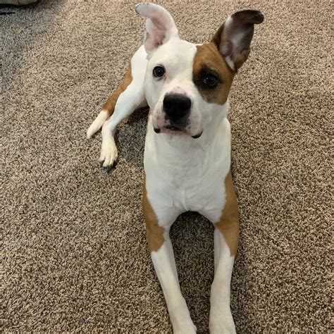 Jason Jarvis Youtube