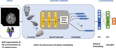 A Comparative Study Of Graph Neural Networks For Shape Classification In Neuroimaging Paper And
