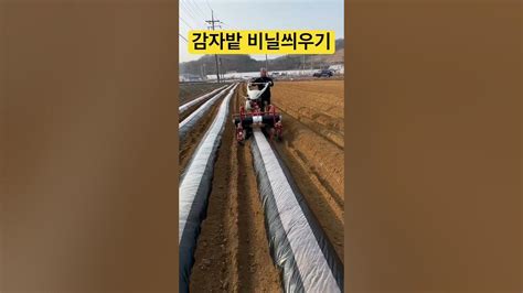 감자밭 배색비닐피복 뛰어보자 감자 배색 피복 관리기 피복기 Youtube