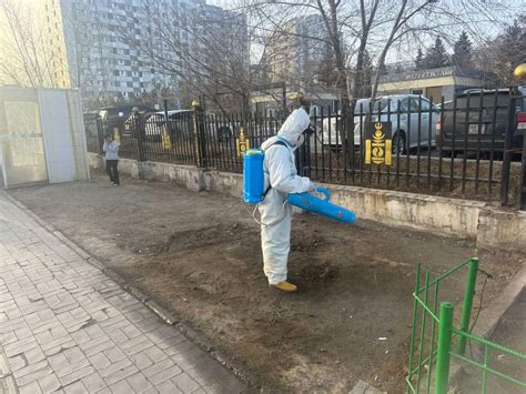 Сүлжээ Сүлжээ Added A New Photo