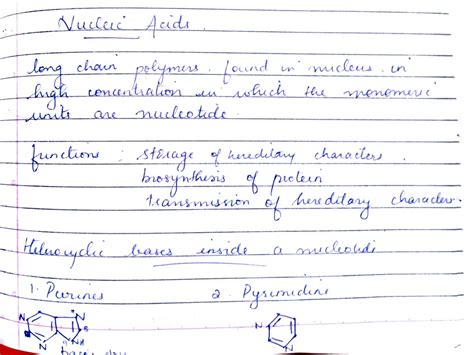 SOLUTION Nucleic Acids Protein Synthesis Short Notes Lecture Notes Studypool