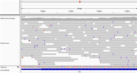read mapping and simple variants genome intelligence