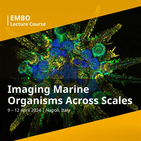 imaging marine organisms across scales event planet group