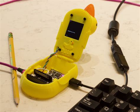 How To Use Cyberduck From Command Line Ohiogas