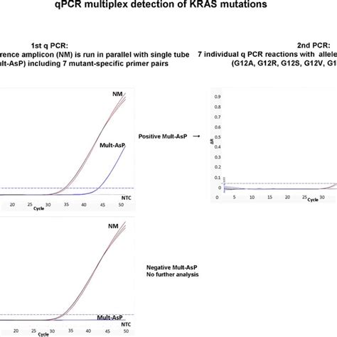 Design Of Multiplex Qpcr For Kras Genotyping In A First Step Was