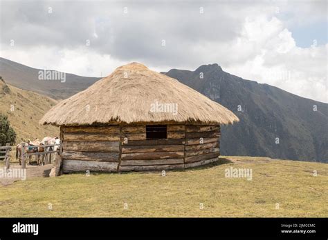 Rustic Hut With Thatched Roof And Wooden Structure Traditional