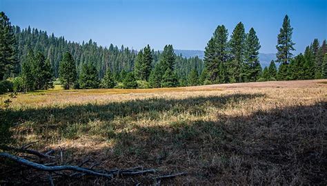 Wawona Meadow Loop Discover Yosemite National Park
