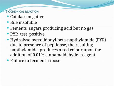 streptococcus pyogenes introduction classification ppt