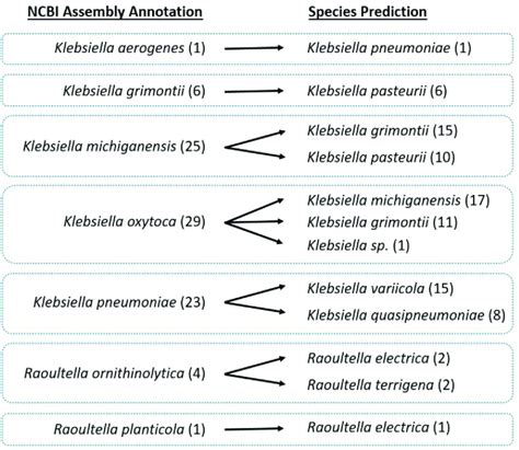 Summary Of 89 Inconsistent Species Annotations Where The Ncbi Assembly