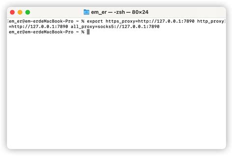 使windows cmd、powershell、terminal、mac终端、linux命令行使用代理的方法 帮助教程