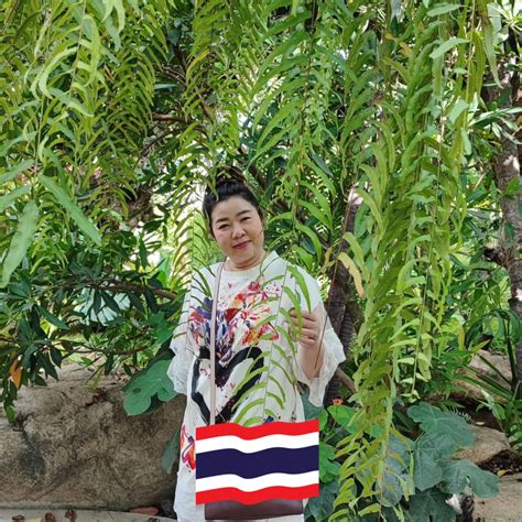 โรงเรียนเซนต์ฟรังซีสเซเวียร์ ความภาคภูมิใจ ดาวเด่นเซนต์ฟรังซีสฯ โรงเรียนเซนต์ฟรังซีสเซเวียร์