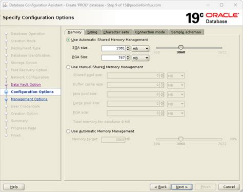 Install Oracle 19c On Linux Info Influx