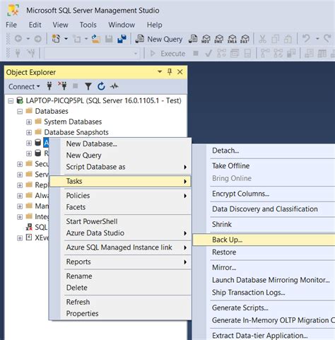 Migration Of Sql Server Databases From Older To New Ones