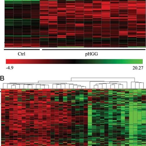 supervised hierarchical clustering of differentially expressed mirnas
