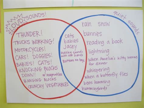 Reading Comprehension Using Venn Diagrams Solution Differen