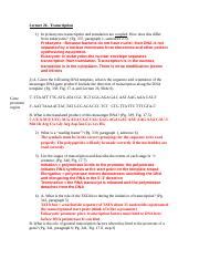 Lecture Study Guide Doc Lecture Transcription In Prokaryotes Transcription And