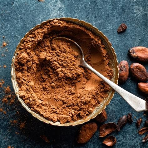 Cocoa Vs Chocolate Understanding The Differences Cocoavia