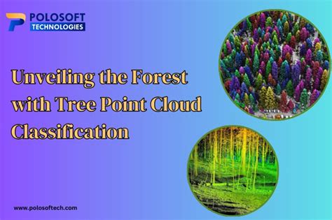 Next Level Forest Insights Through Tree Classification And Feature