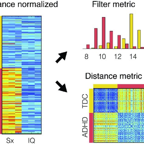Preprocesses And Analysis Steps Of Topological Data Analysis Download Scientific Diagram