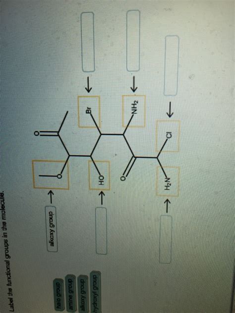 Solved Label The Functional Groups In The Moleculs Alkoxy