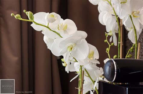 Честный юрист Демина Юлия юристРазъясняет О том что суды могут длиться годами наверняка