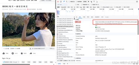 python 爬虫实例（4）：获取某站的某某的视频 爬取b站视频的代码怎么写 csdn博客