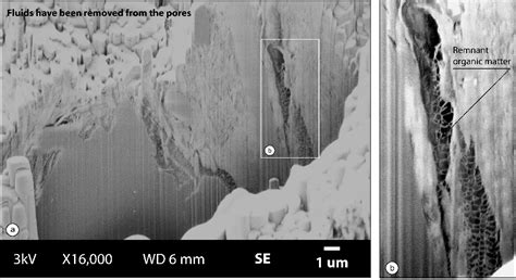 Figure 2 From Morphology Of The Pore Space In Claystones Evidence From Bibfib Ion Beam