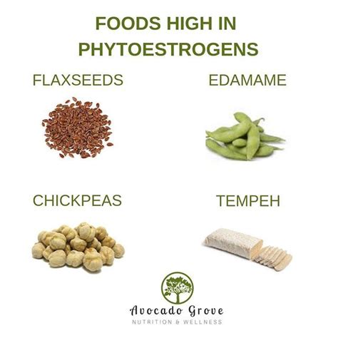 Phytoestrogen Containing Foods For Hormone Balance Foods To Balance