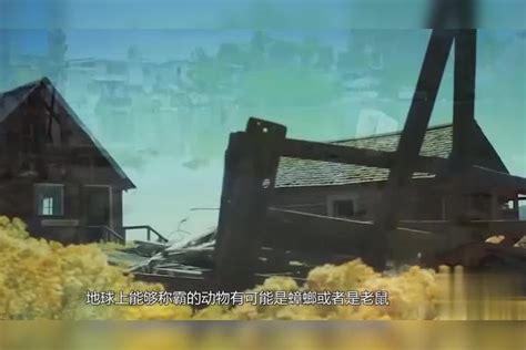 人类消失 亿年后地球会发生什么事看完吓出一身冷汗 会发生 地球 一身