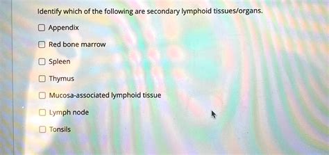 Identify Which Of The Following Are Secondary Lymphoid Tissuesorgans
