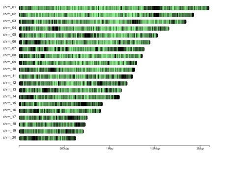 Telomere To Telomeregenomeanalysisworkflow2 Denovoannotations
