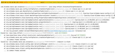 Nacosexception Endpoint Is Blank错误nacos Endpoint Is Blank Csdn博客